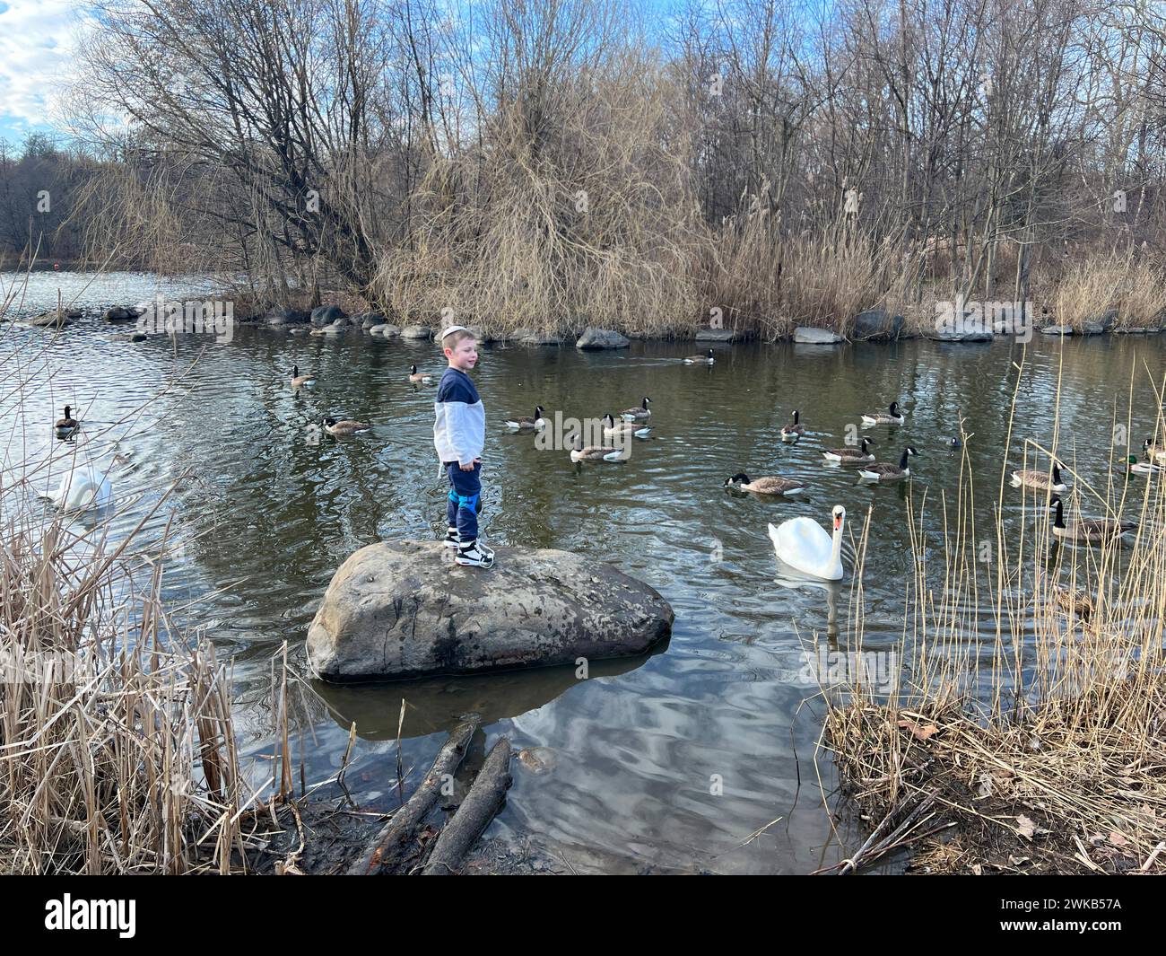 Adventurous boy on a rock in the lake at Prospect Park, Brooklyn, New ...