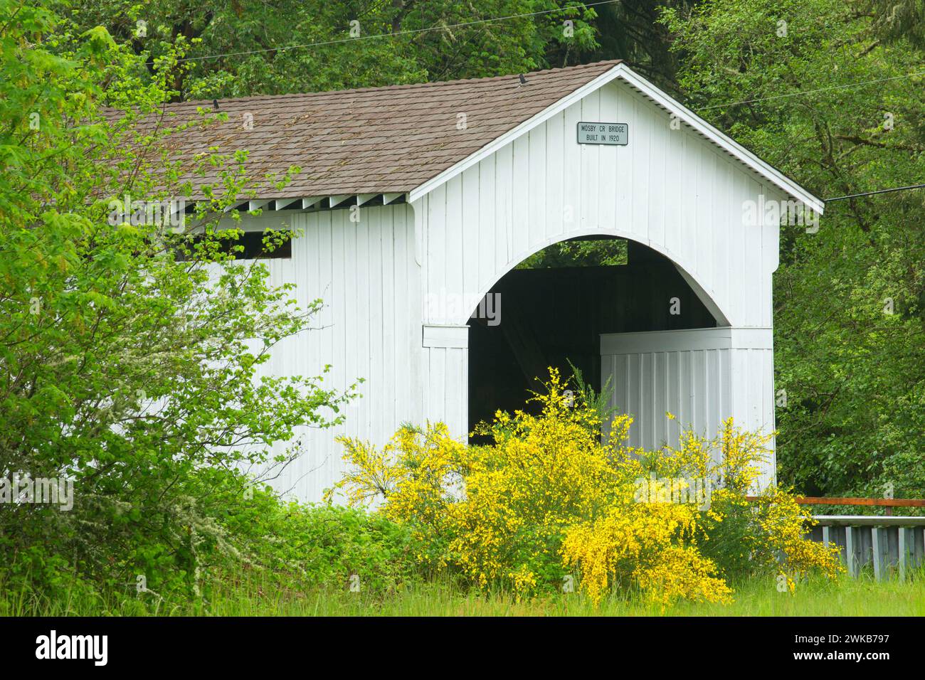 Mosby hi-res stock photography and images - Alamy