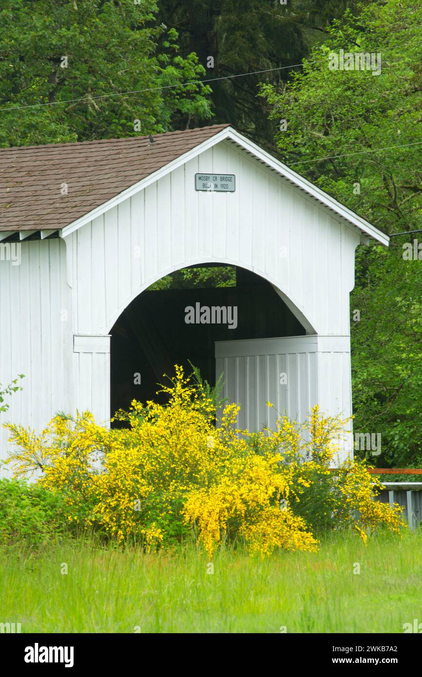 Mosby hi-res stock photography and images - Alamy