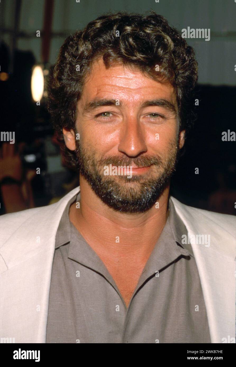 Wayne Crawford Circa 1980's Credit: Ralph Dominguez/MediaPunch Stock ...