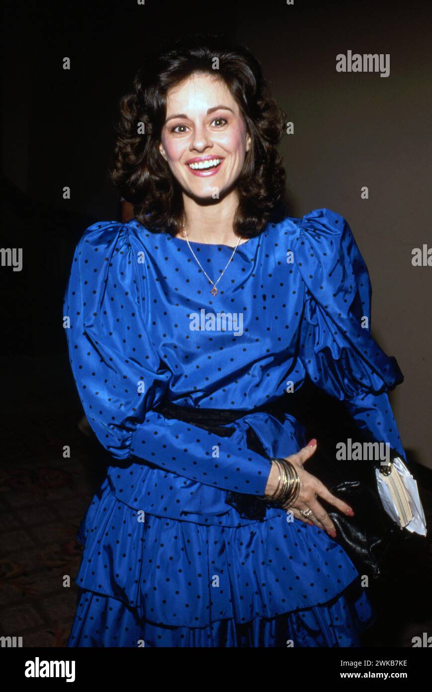 Philece Sampler Circa 1980's Credit: Ralph Dominguez/MediaPunch Stock ...