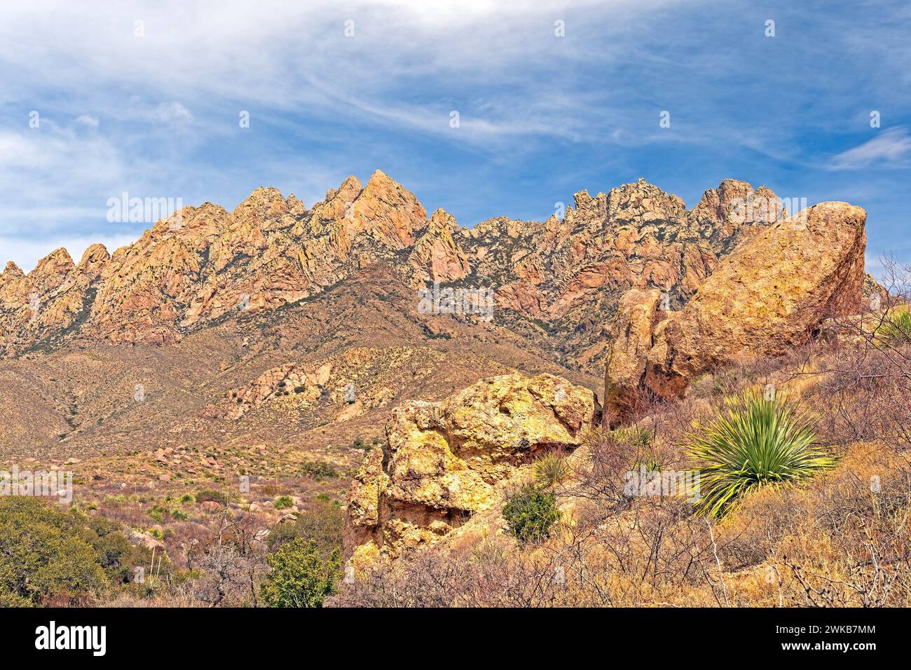 Jagged Peaks in a Desert Panorama in the Organ Mountain Desert Peaks ...
