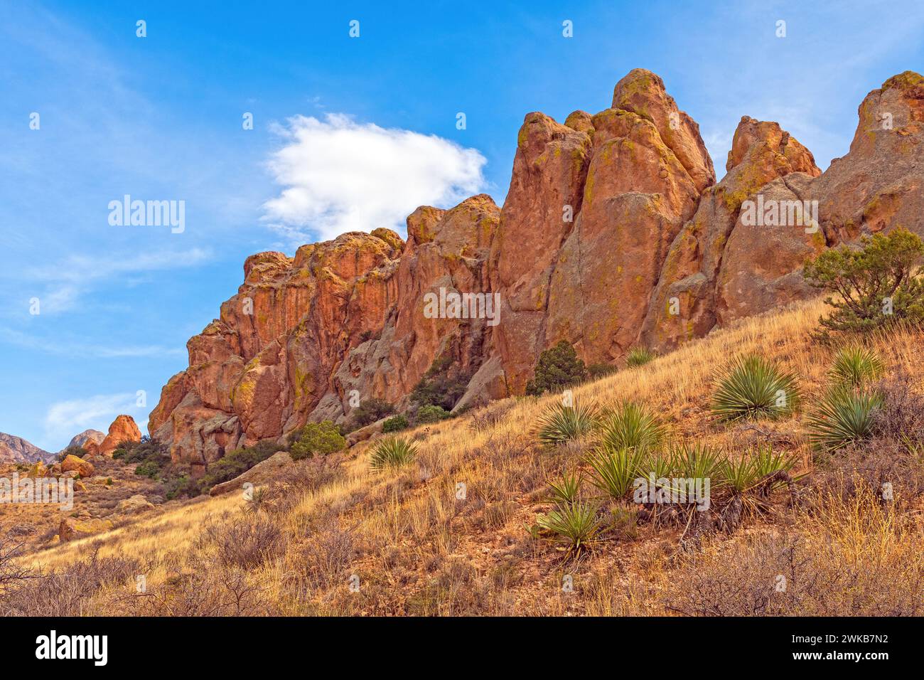 Red Rock Escarpment Rising From the Desert Floor in the Organ Mountain ...