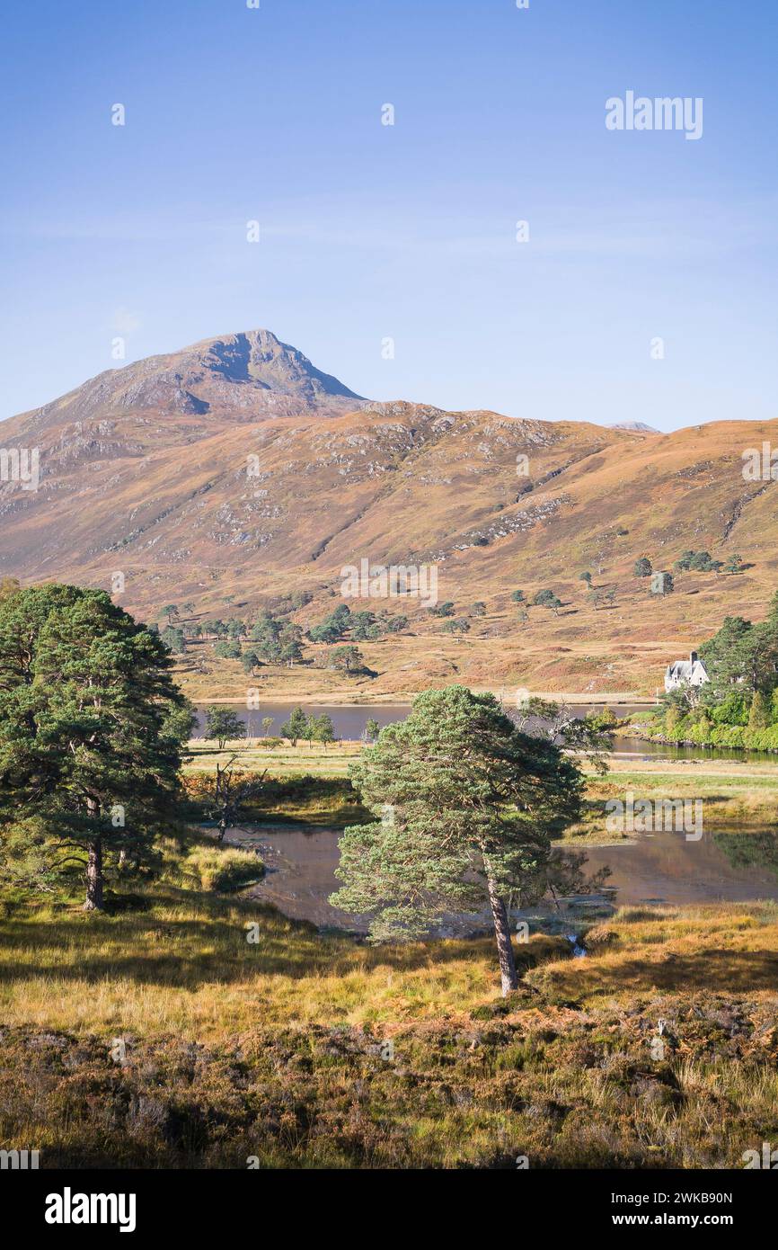 Glen Affric landscape with lake, trees and mountain. Scottish Highland ...