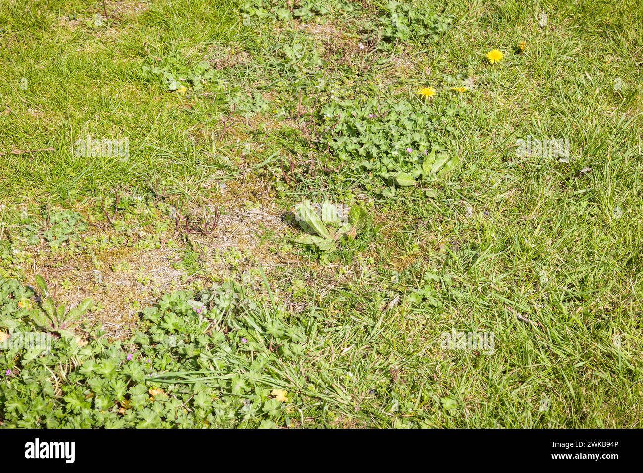 Weed control hi-res stock photography and images - Alamy