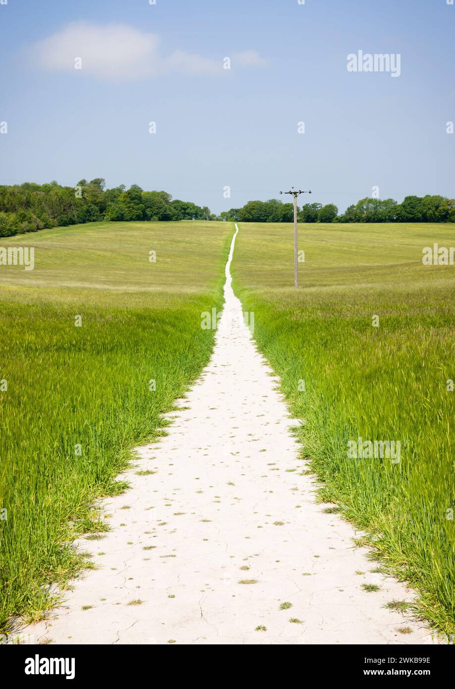 White chalk footpath through a field in English countryside. Chiltern ...