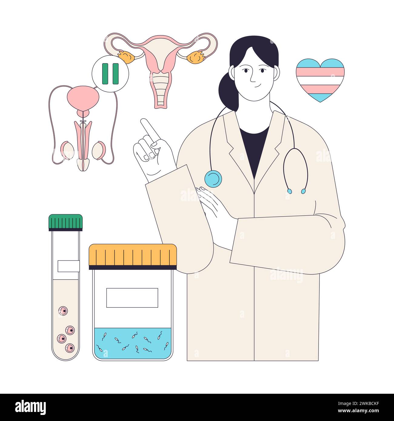 Gender transition. Fertility preservation. Medical tools for oocyte and ...