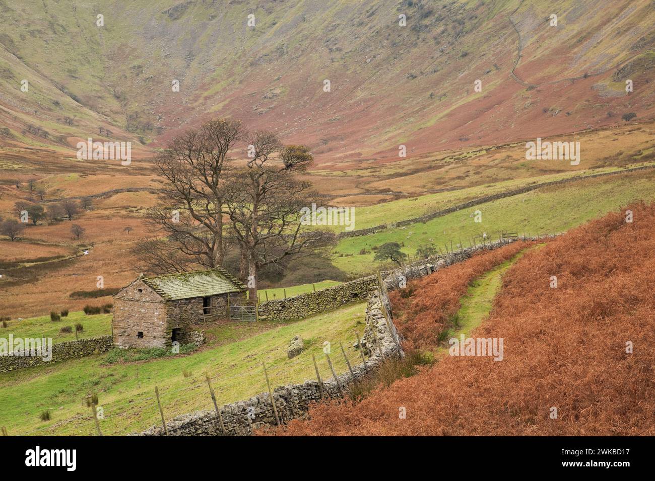 Cumbrian barn hi-res stock photography and images - Alamy