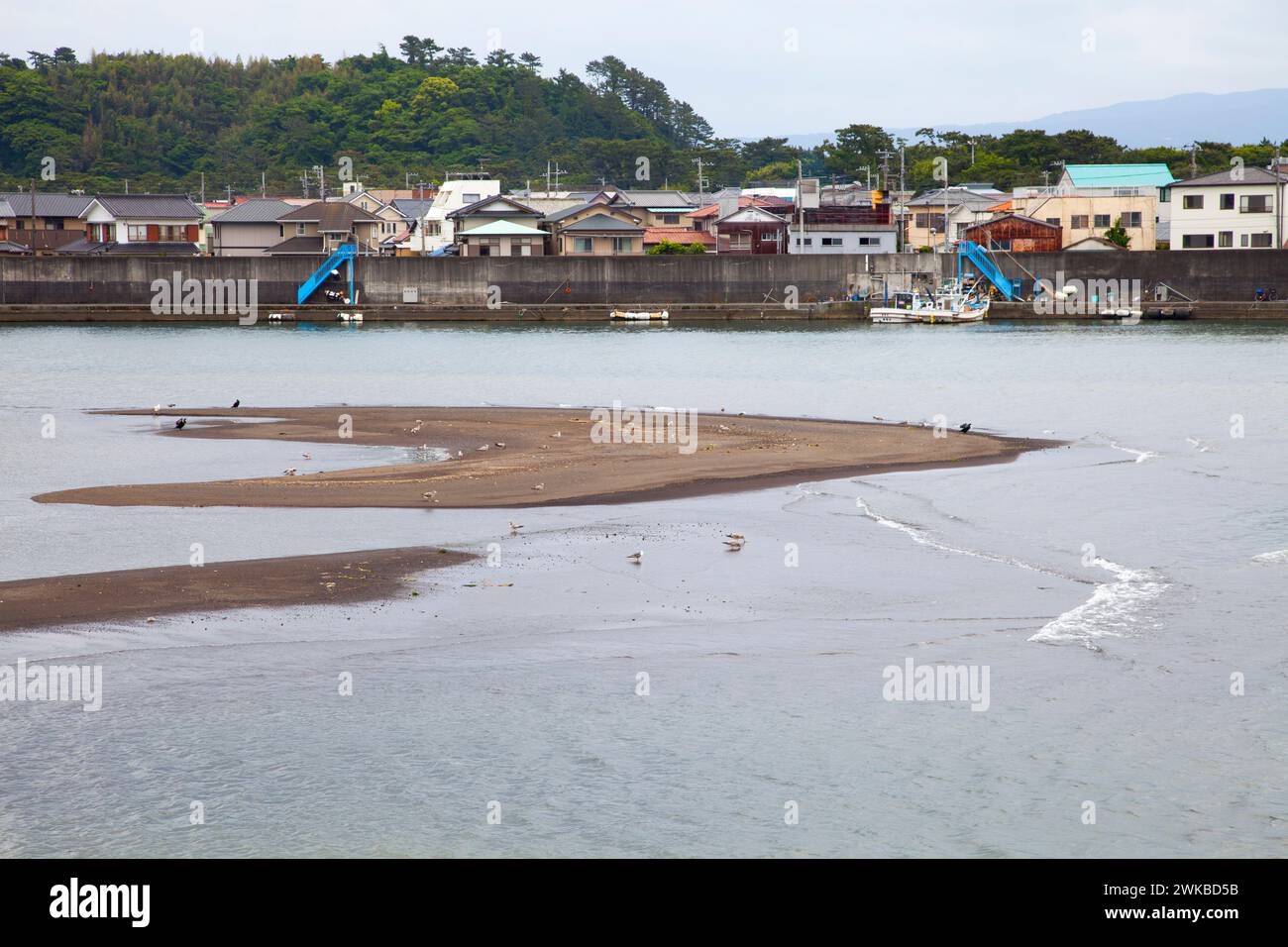 The Kano Rive estuarine in Numaza in Shizuoka Prefecture, Japan Stock ...