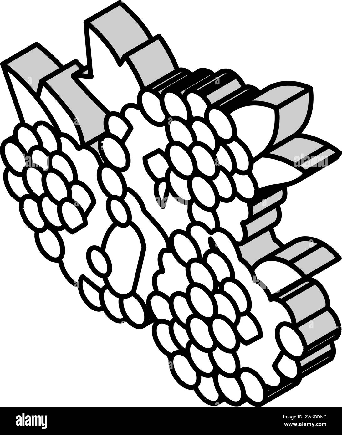 Raspberry gooseberry Black and White Stock Photos & Images - Alamy