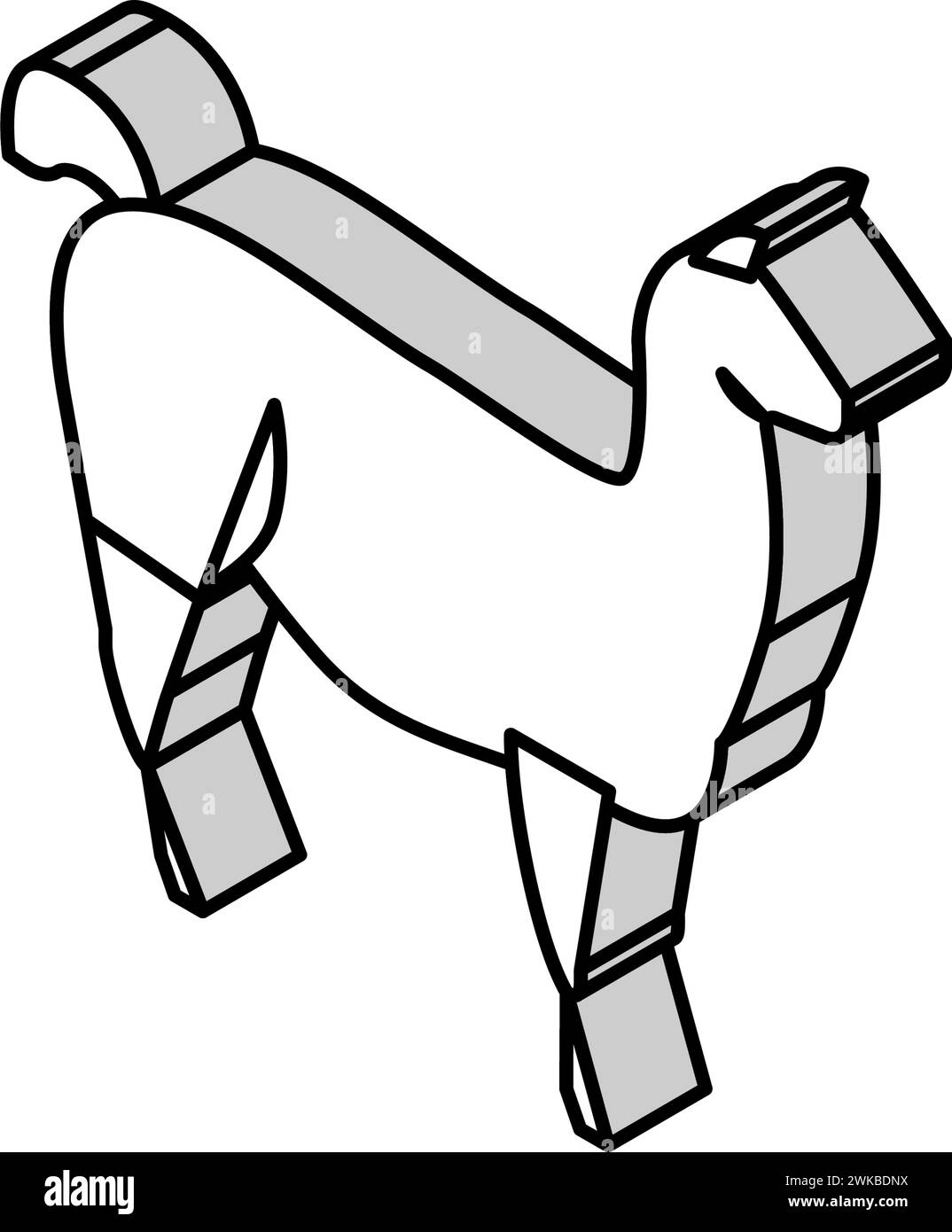 African lama Black and White Stock Photos & Images - Alamy