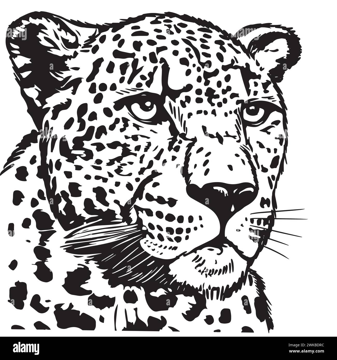 Portrait of Leopard, hand-drawn illustration, vector Stock Vector Image ...