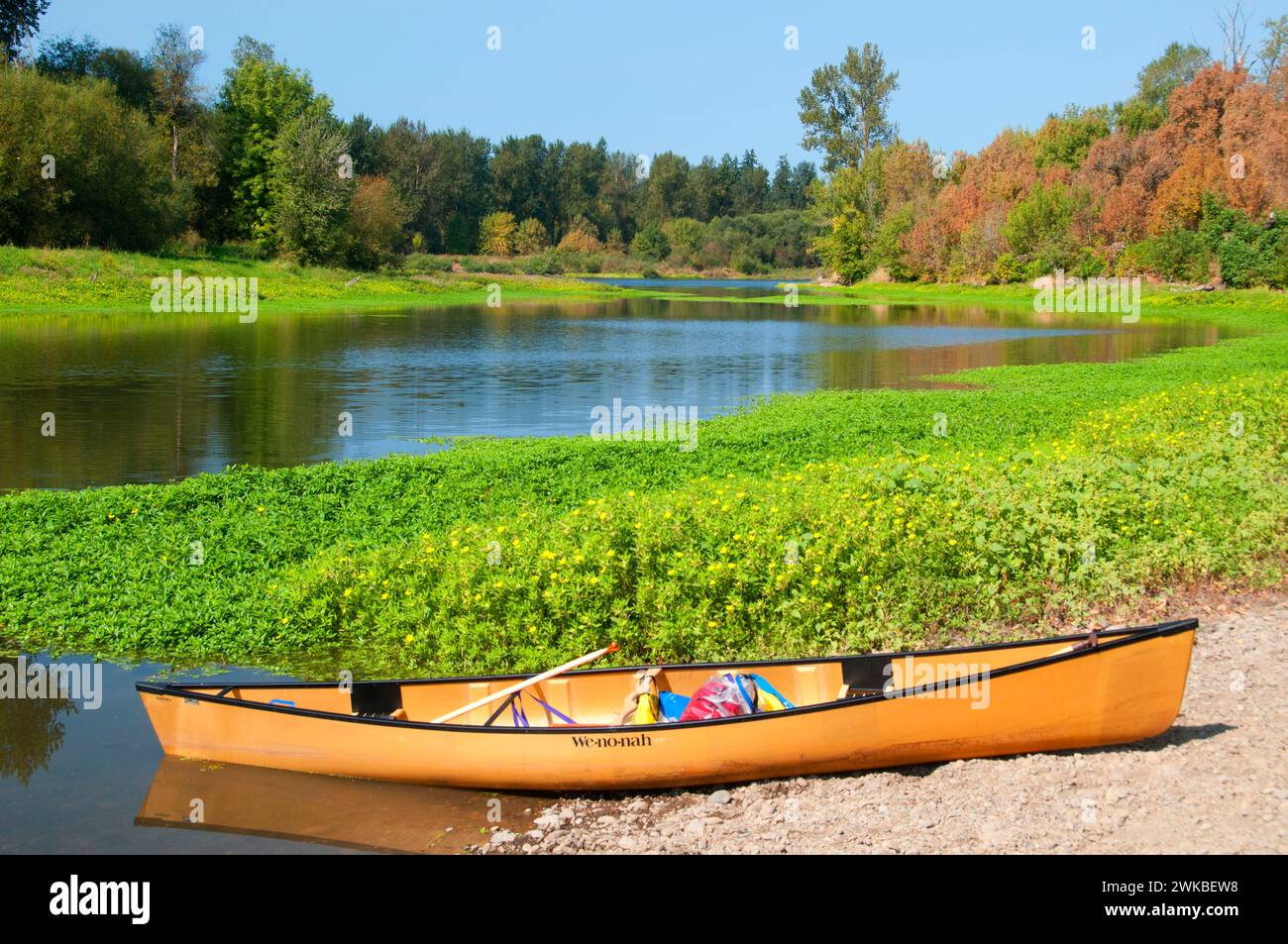 Canoe at Windsor Island Slough near Willamette River, Willamette ...
