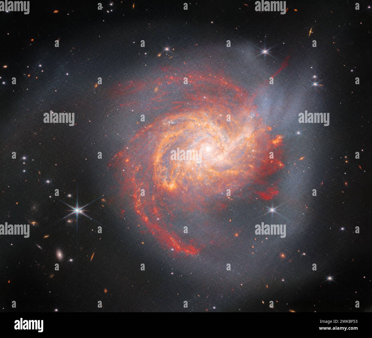 The peculiar galaxy NGC 3256 dominates this image from the NASA/ESA/CSA ...