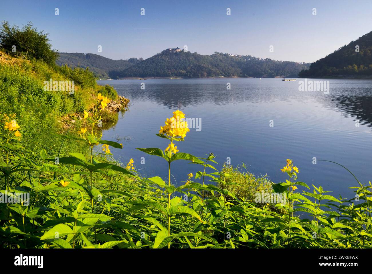 Lake Edersee with a view of Waldeck Castle, Germany, Hesse, Kellerwald ...