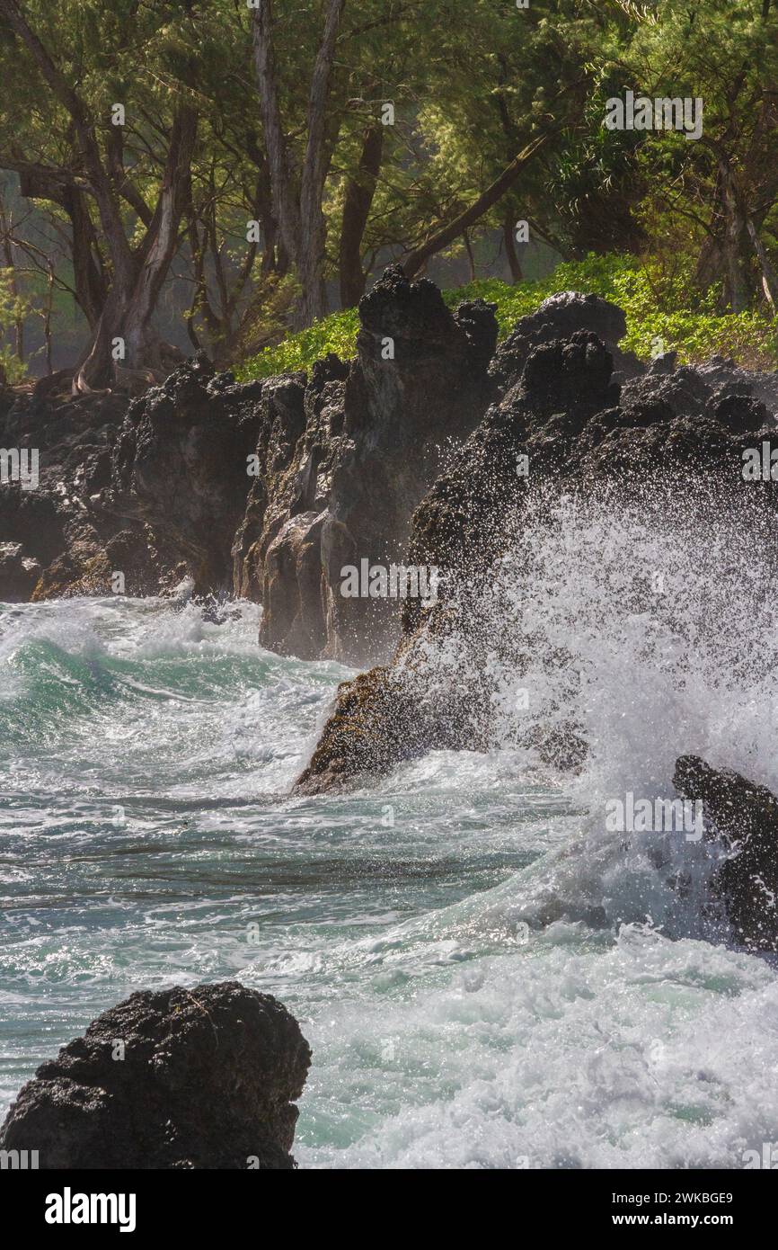 Crashing waves on lava rocks at beach area on Keanae Peninsula, along ...