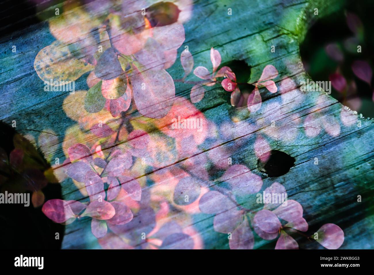 Abstract image of back garden furniture. Multiple Exposure combined ...
