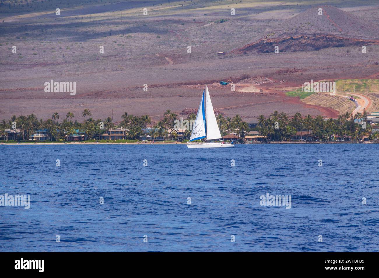 Sailboat off the coast of Maui in Hawaii Stock Photo - Alamy