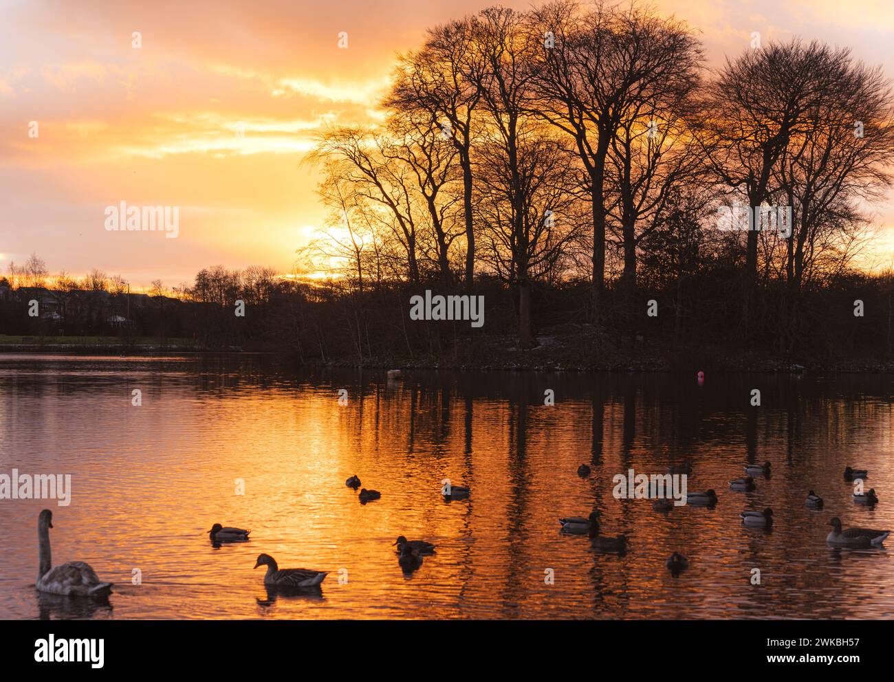 James Hamilton Heritage Park during golden hour Stock Photo - Alamy