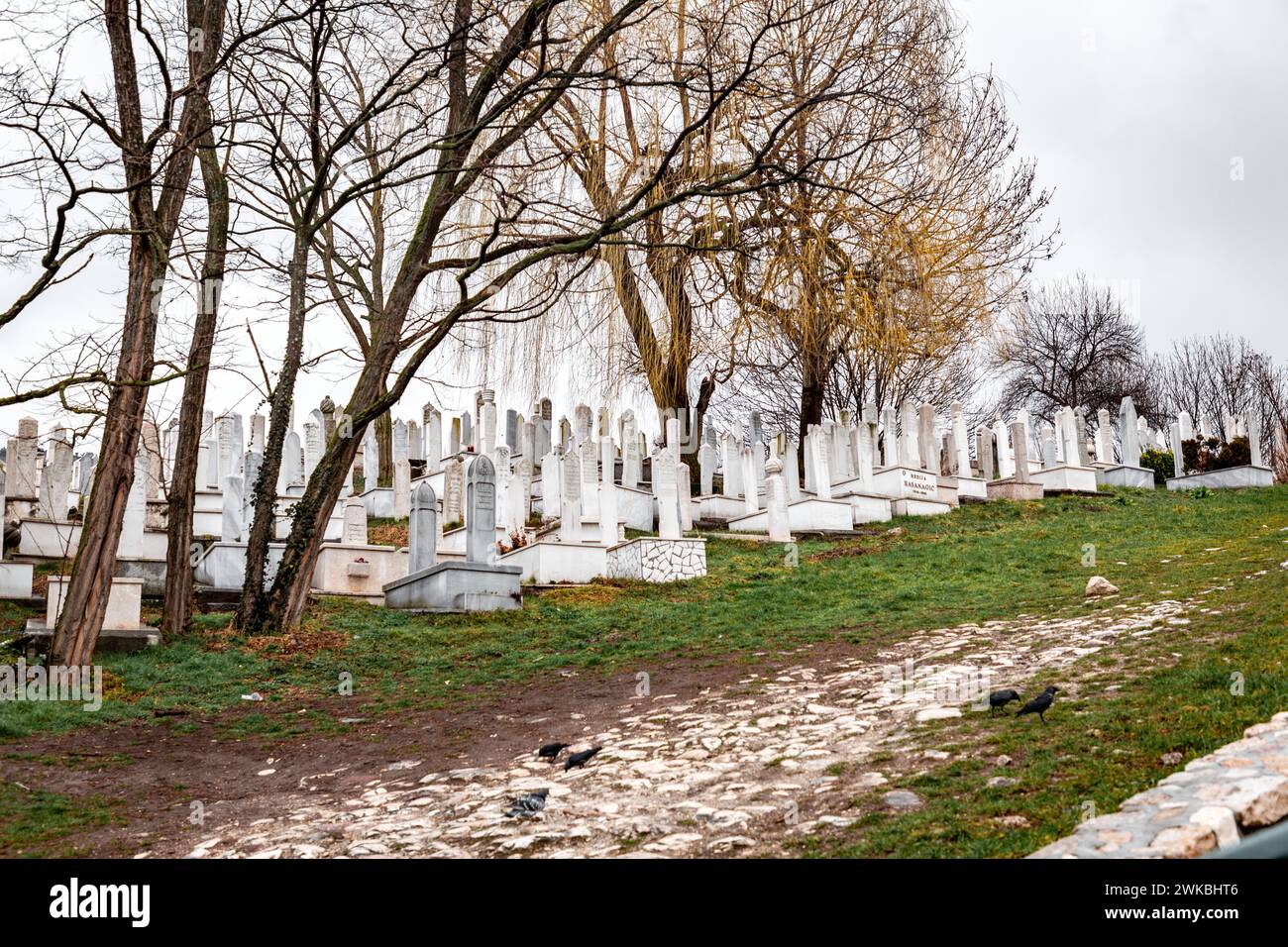 Sarajevo - Bosnia and Herzegovina - 11 FEB 2024: Muslim graveyard ...