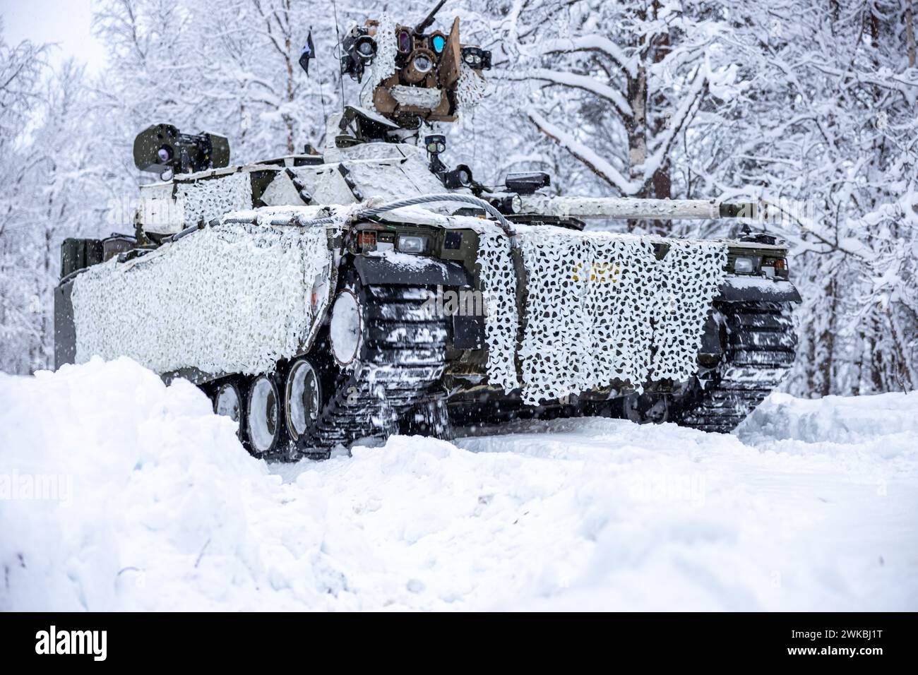 U.S. Marines, along with NATO allies and partners, employ the tactical ...