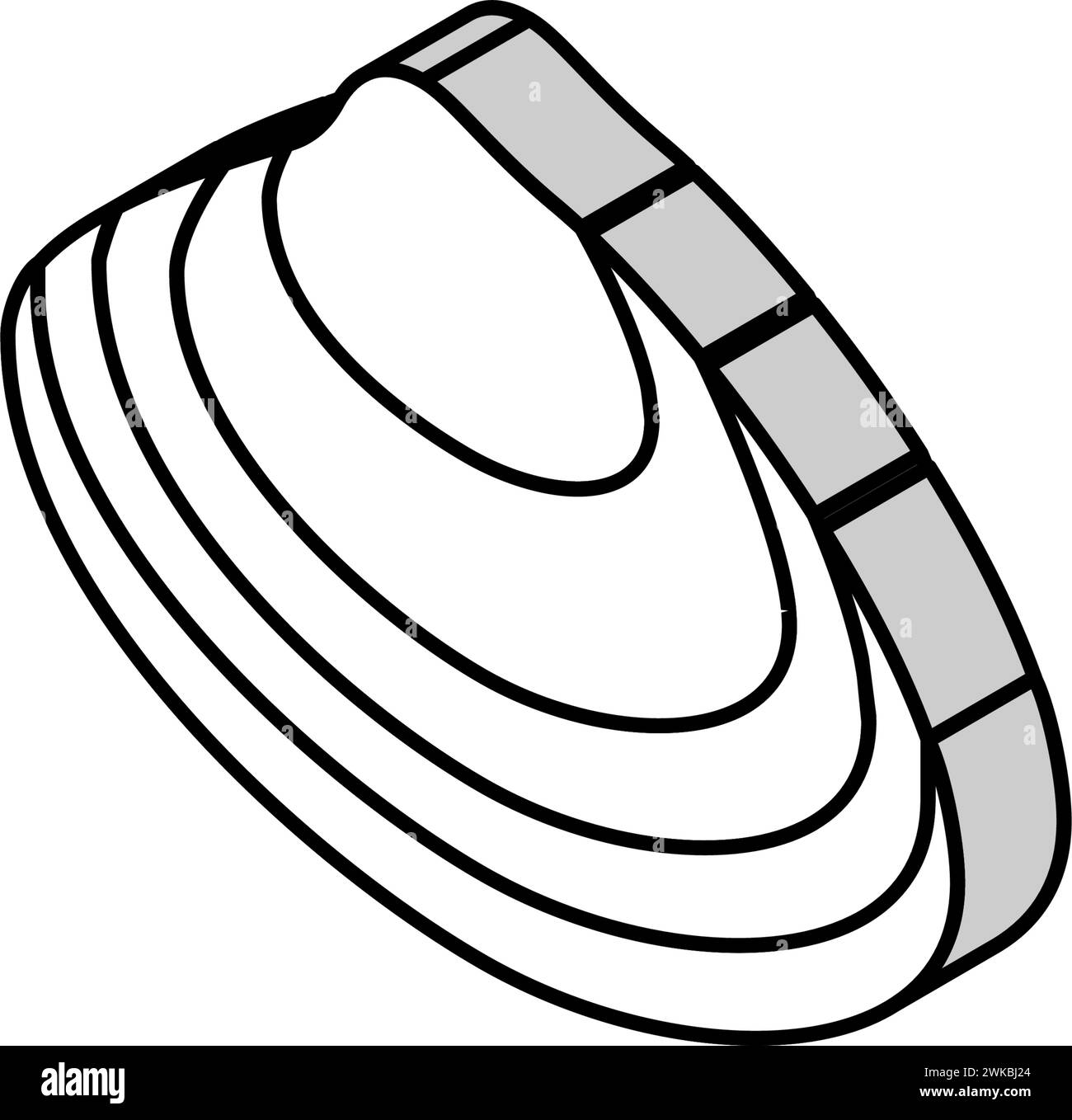 Surf Clam Isometric Icon Vector Illustration Stock Vector Image And Art Alamy