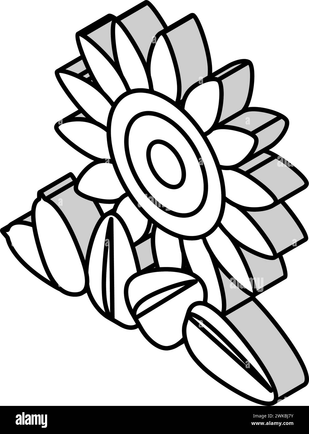 sunflower nut isometric icon vector illustration Stock Vector Image ...