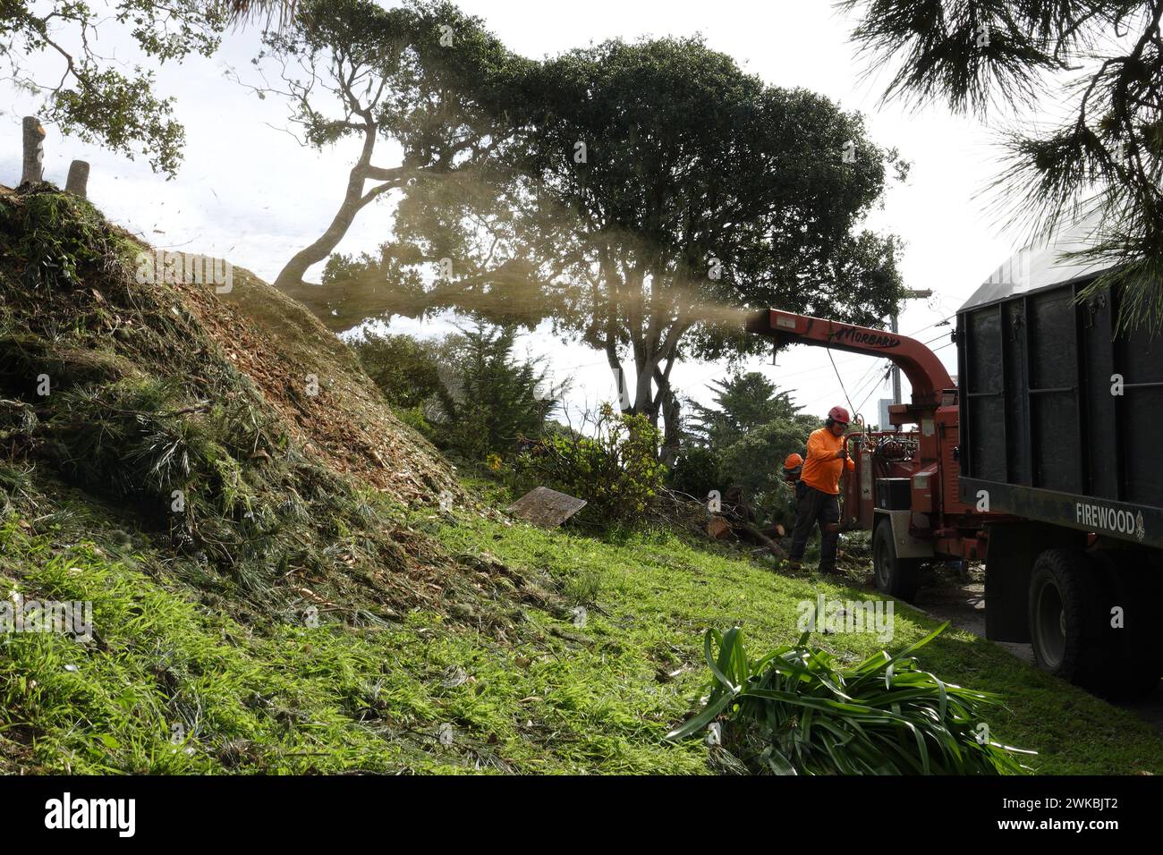Pacific Grove, Monterey peninsula, California, USA 14th February, 2024 ...