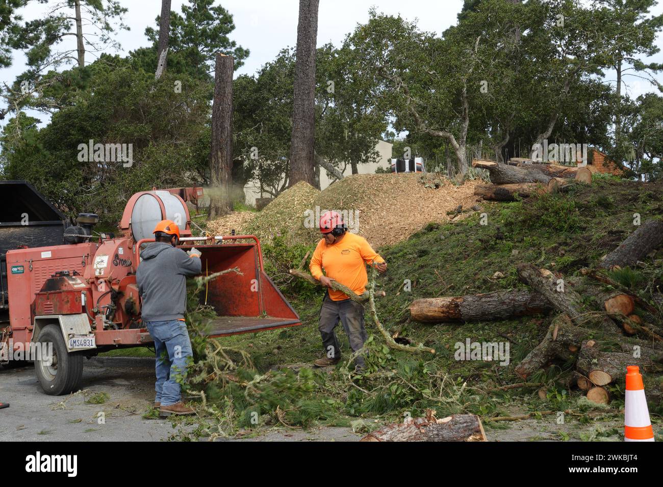 Pacific Grove, Monterey peninsula, California, USA 14th February, 2024 ...