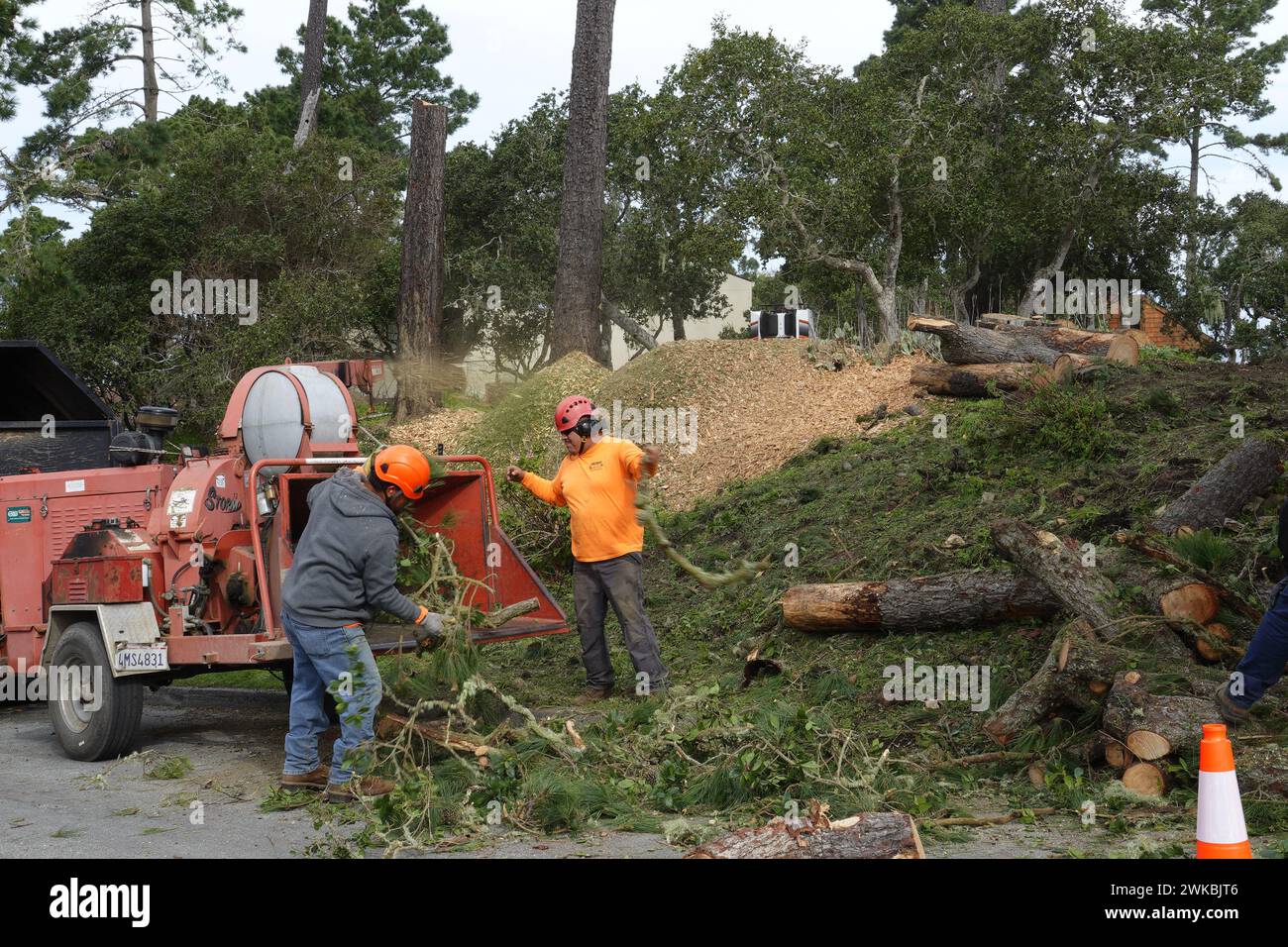 Pacific Grove, Monterey peninsula, California, USA 14th February, 2024 ...