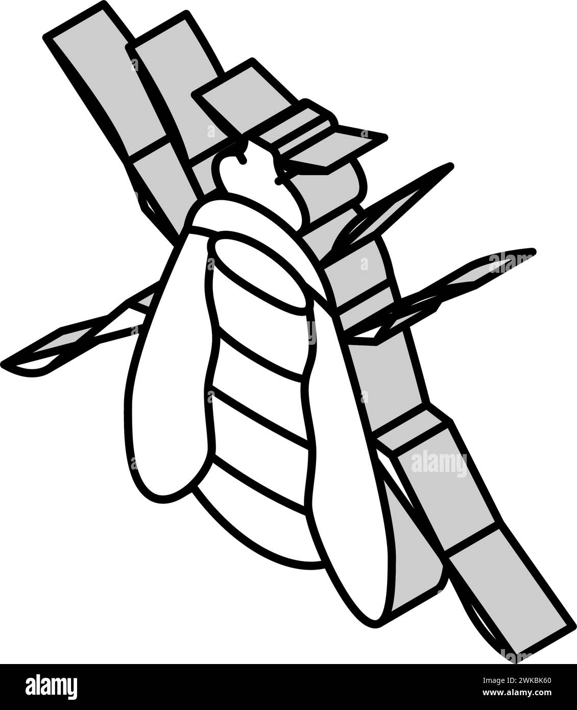 bumblebee insect isometric icon vector illustration Stock Vector Image ...
