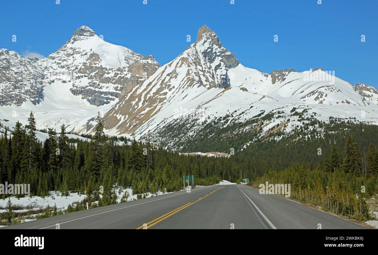 View at glacier from Icefield Parkway, Canada Stock Photo - Alamy