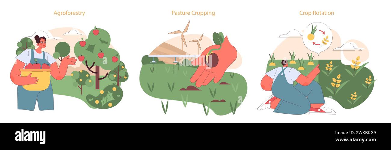 Agroforestry trees Stock Vector Images - Alamy