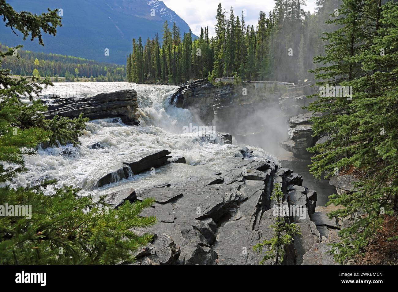 Waterfall athabasca falls hi-res stock photography and images - Alamy