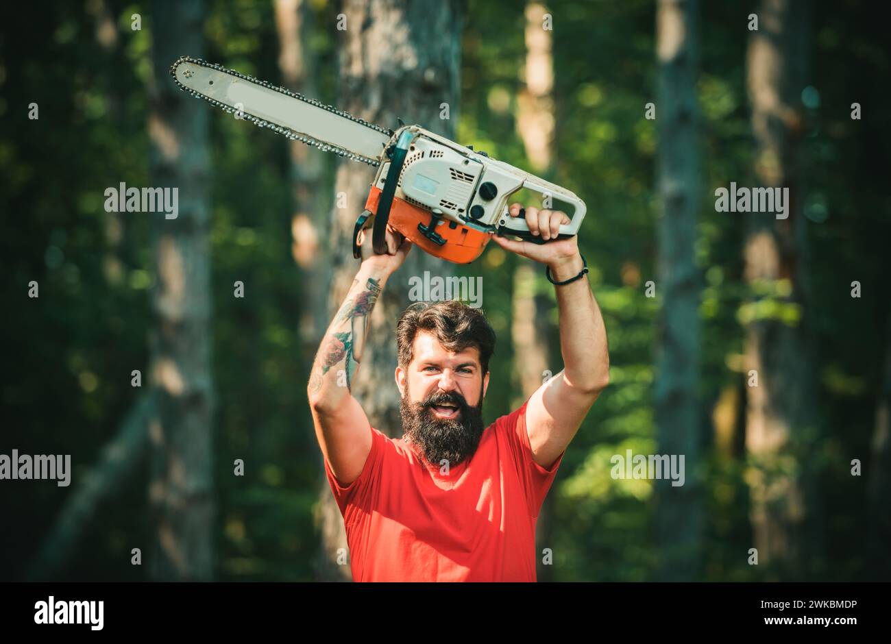 Lumberjack worker walking in the forest with chainsaw. Firewood as a ...
