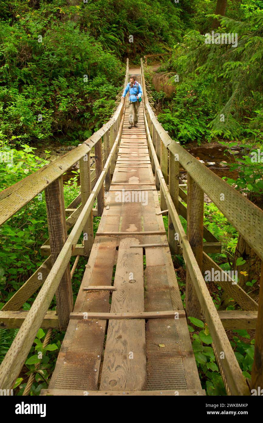Oregon Coast Trail bridge, Oswald West State Park, Oregon Stock Photo ...