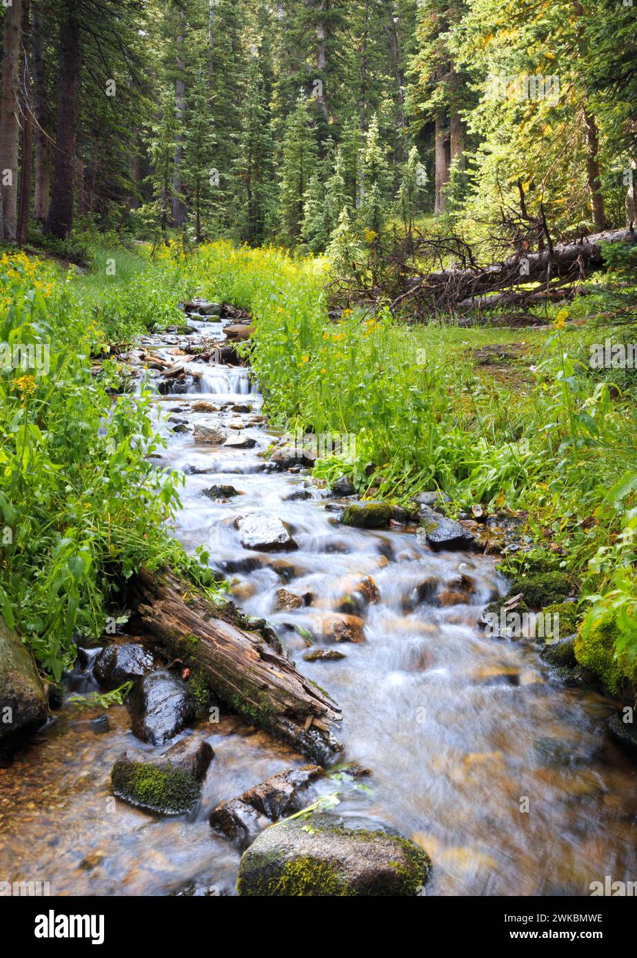 Altitude and climate hi-res stock photography and images - Alamy