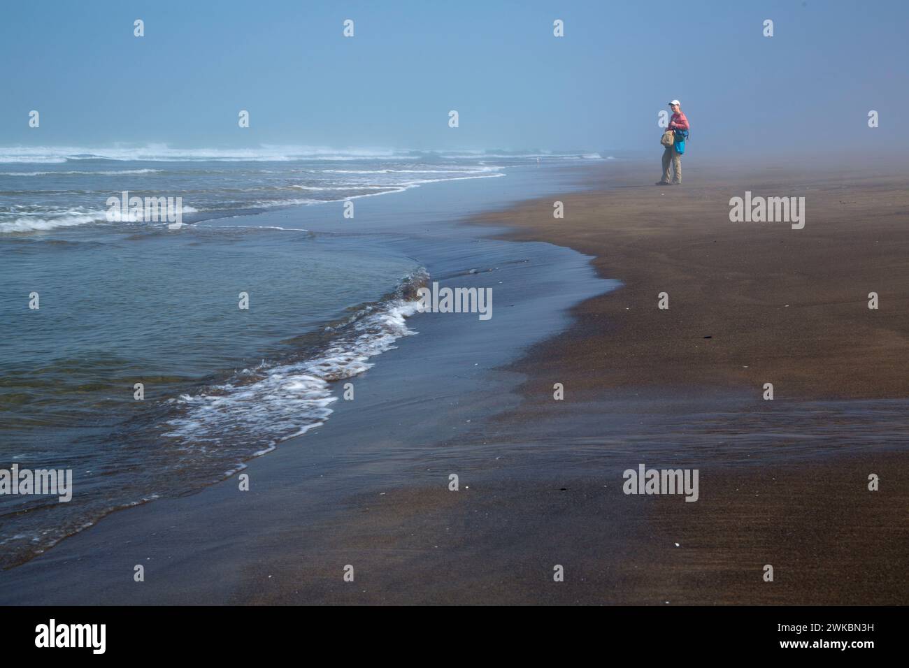 Kiwanda Beach, Neskowin Beach State Park, Oregon Stock Photo - Alamy