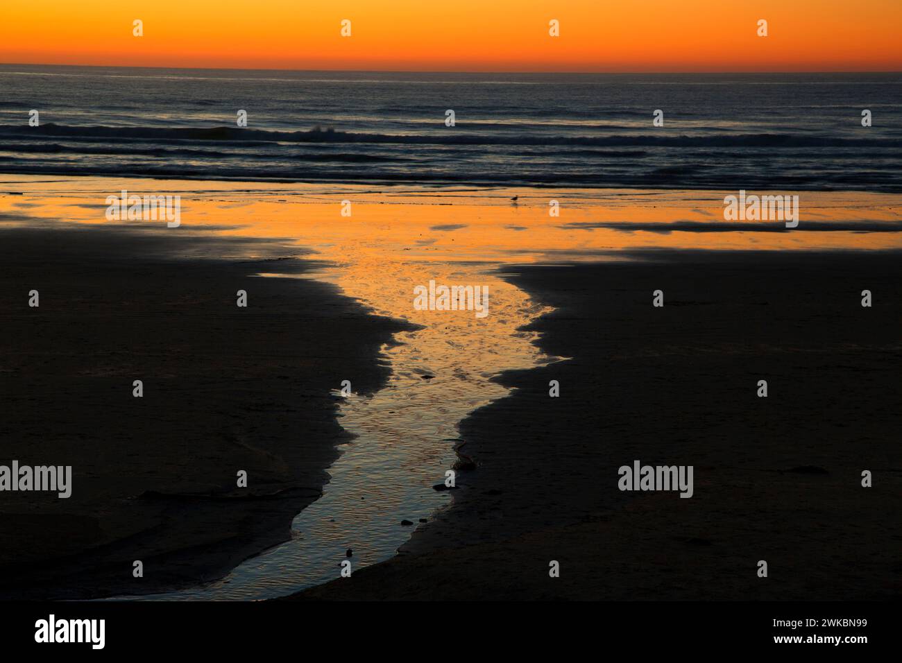Beach sunset, Cape Lookout State Park, Oregon Stock Photo - Alamy