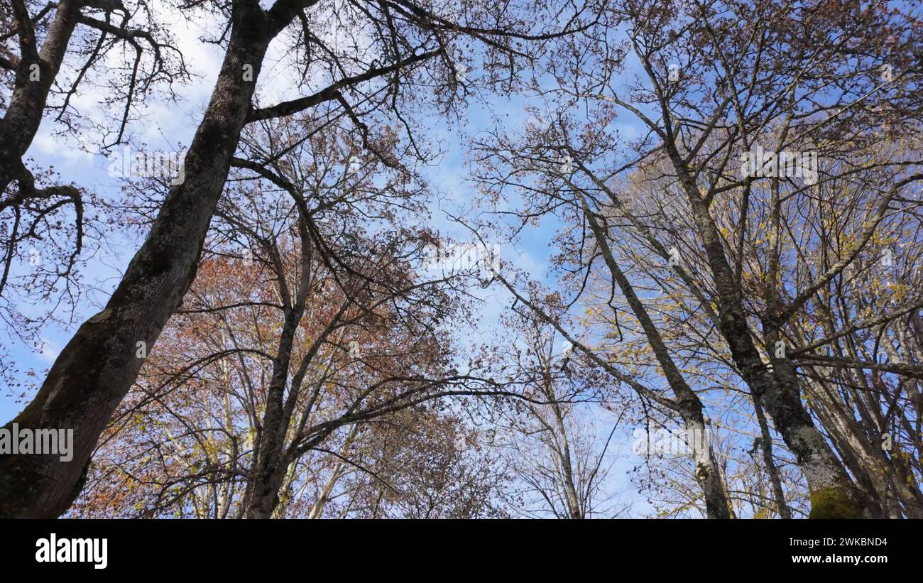 Parque termal spa hi-res stock photography and images - Alamy