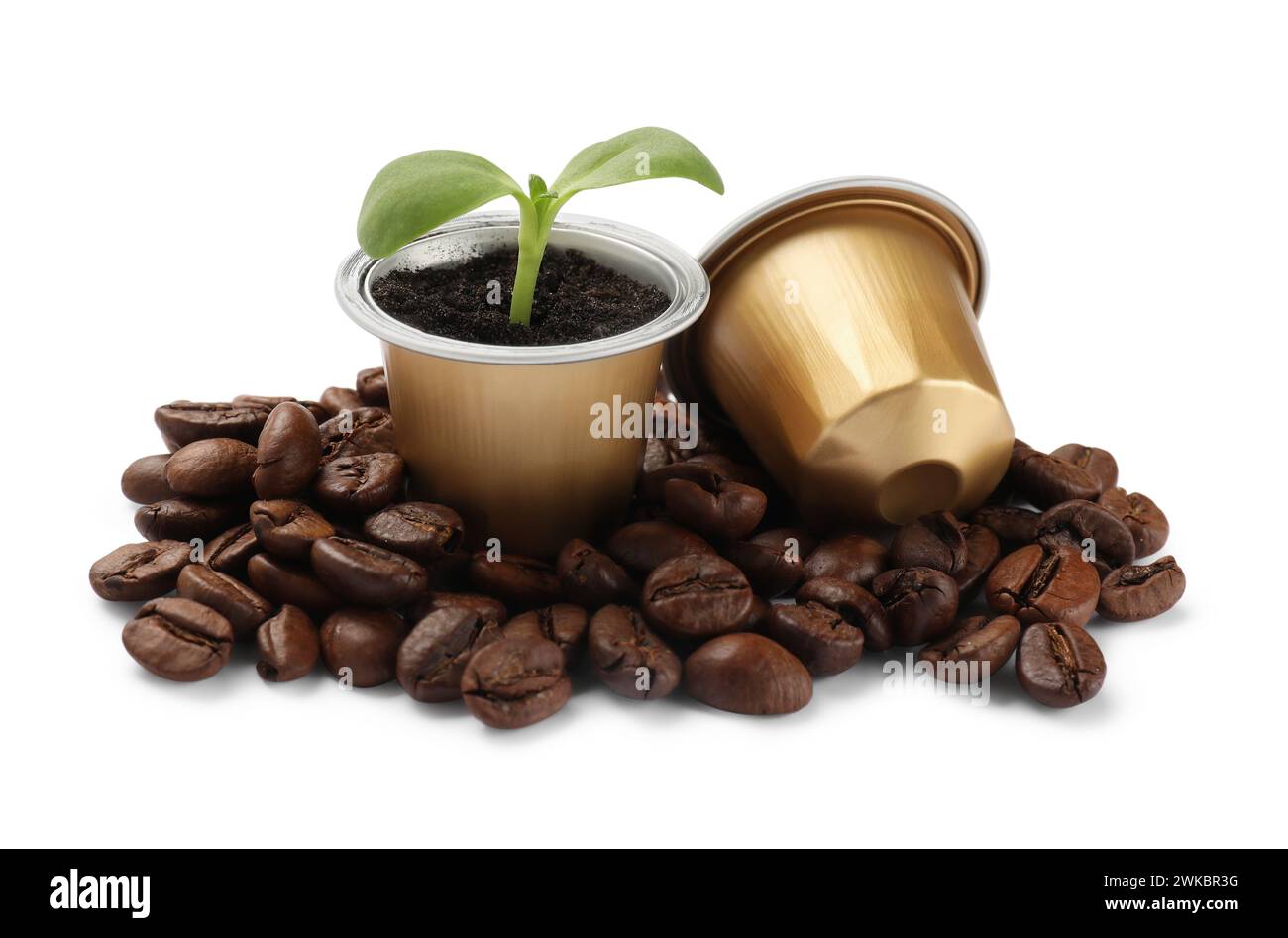 Green seedling growing in coffee capsule and beans isolated on white ...