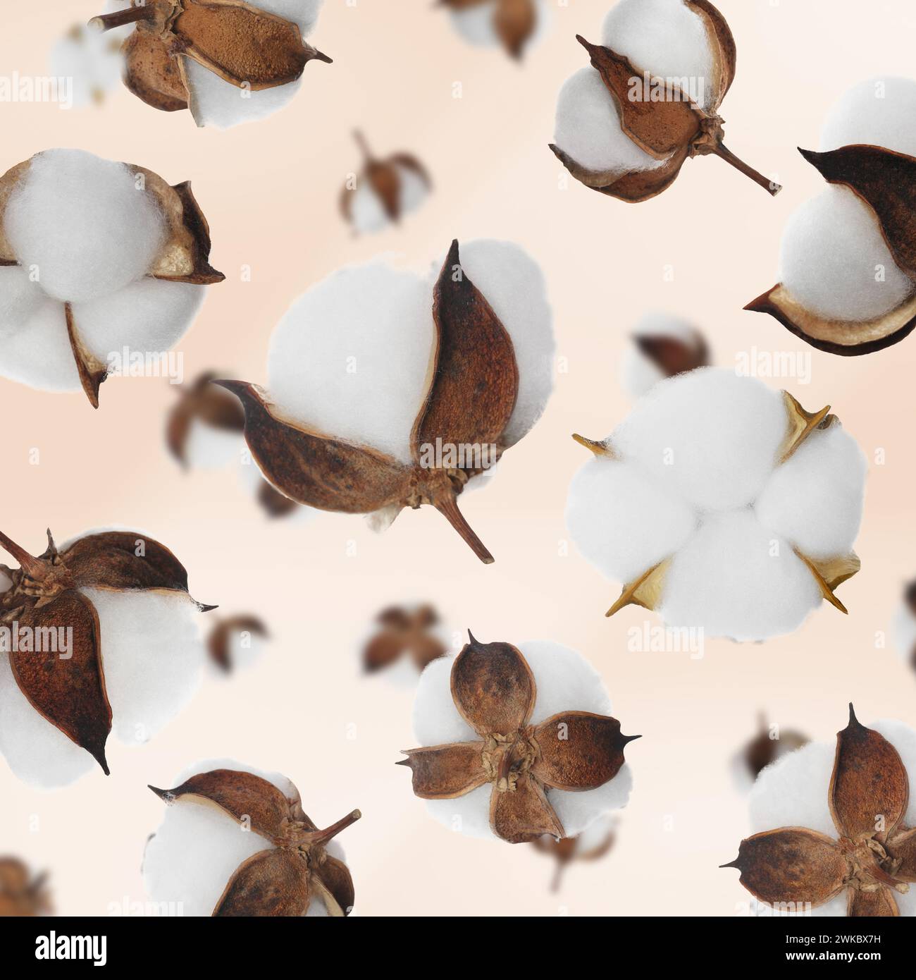 Beautiful cotton flowers falling on beige background Stock Photo - Alamy