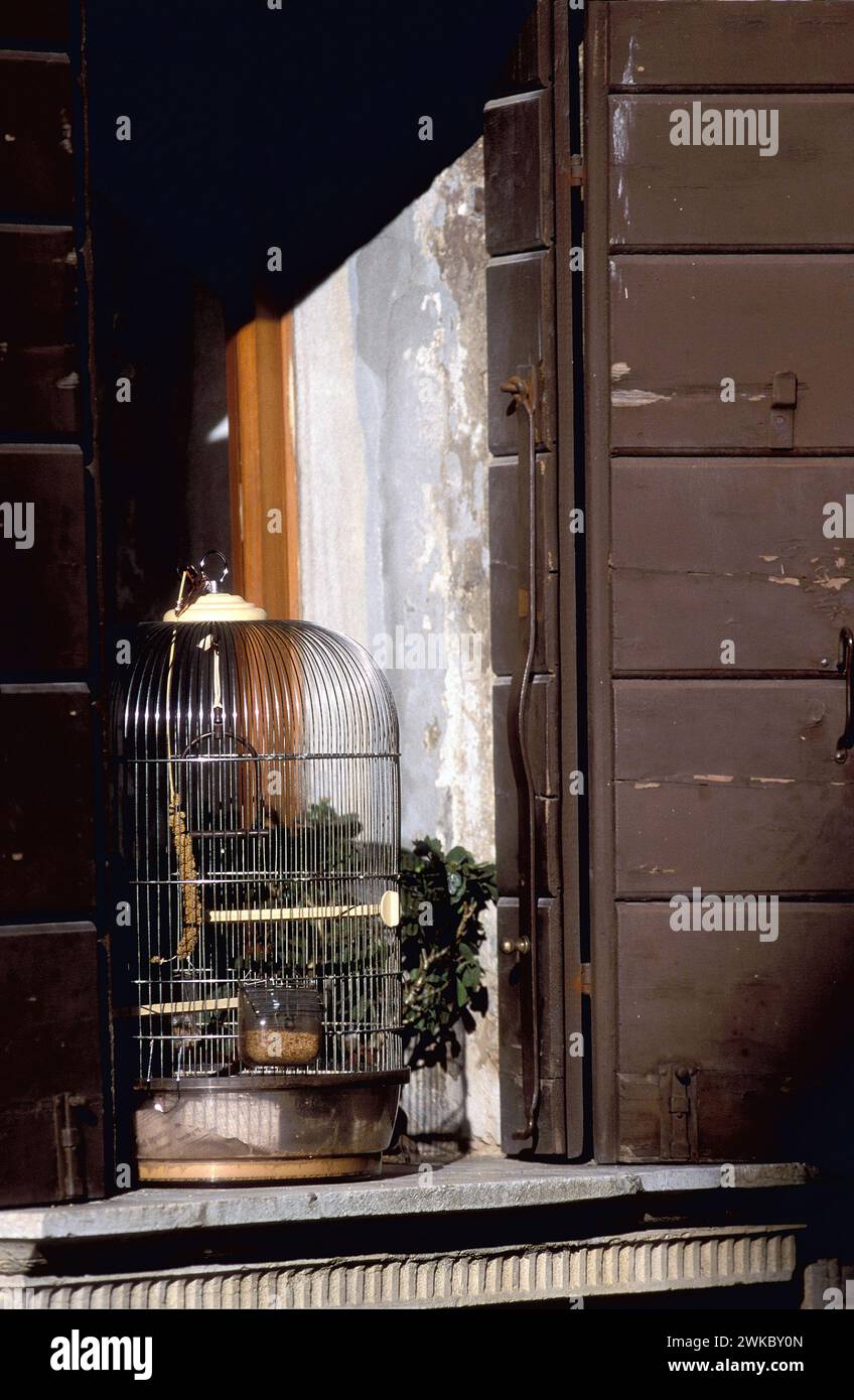A birdcage hi-res stock photography and images - Alamy