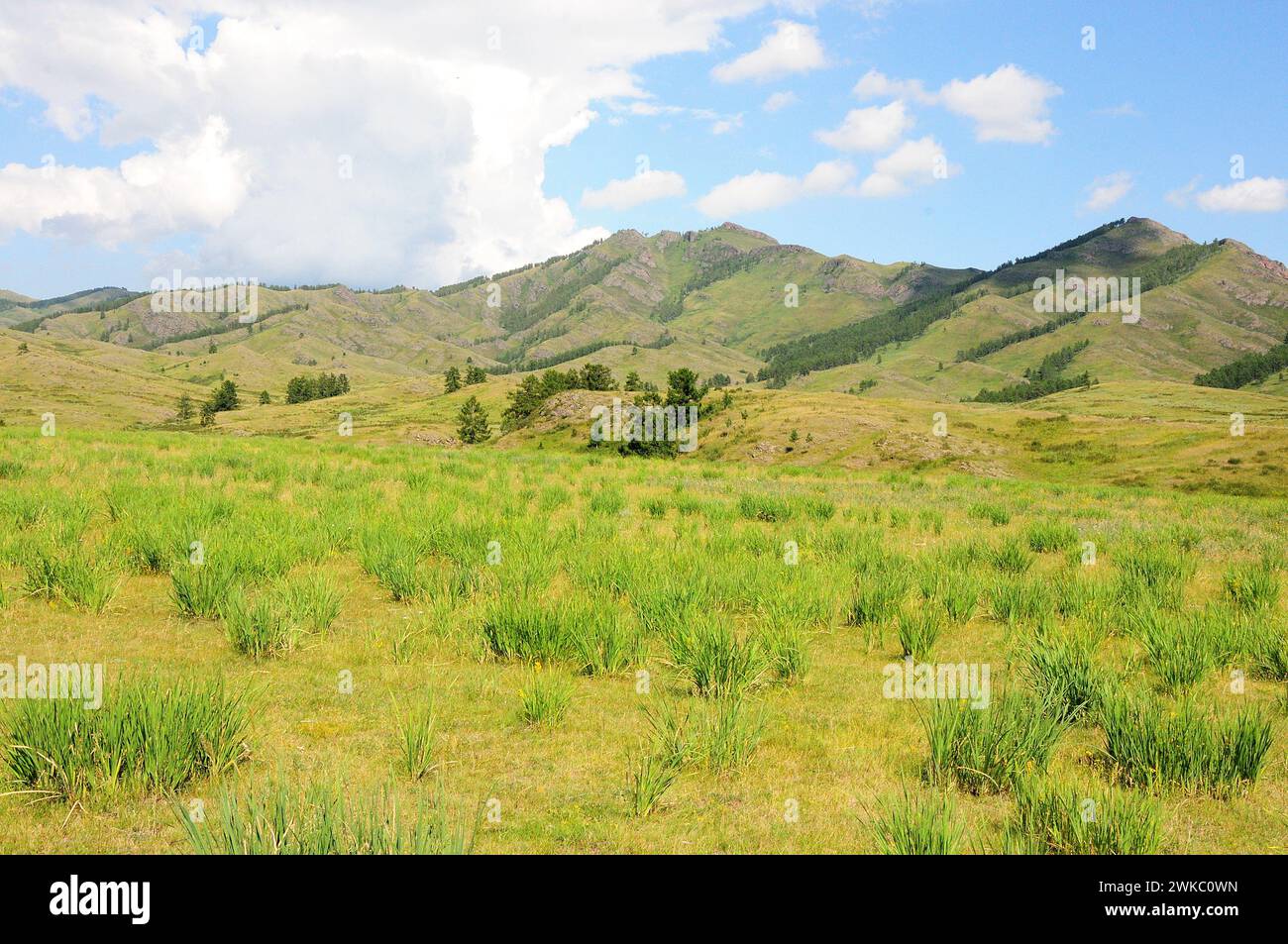 Green overgrown slope and hills hi-res stock photography and images - Alamy