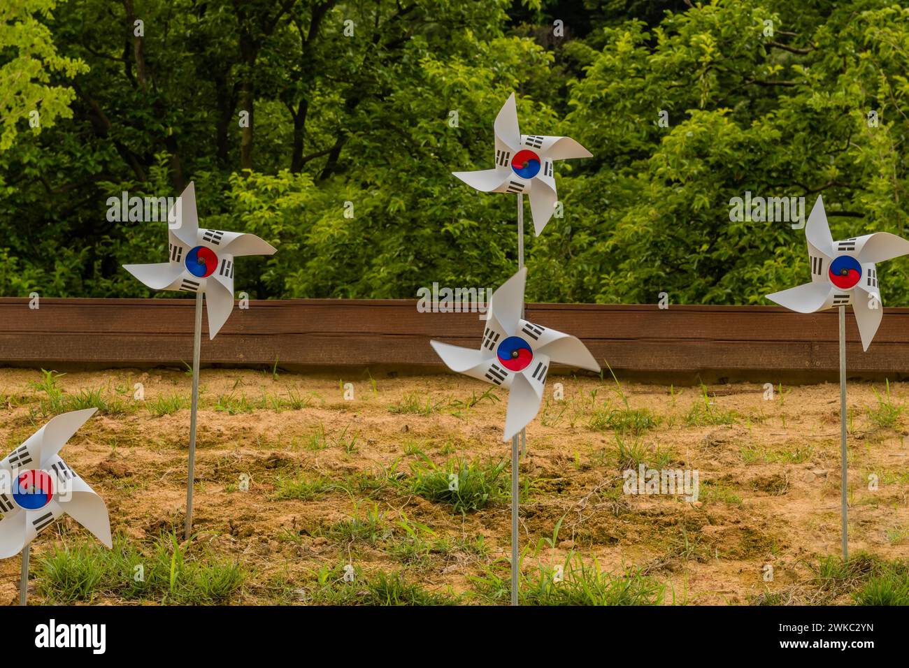White pinwheels with Korean flag design stuck in ground in front of ...