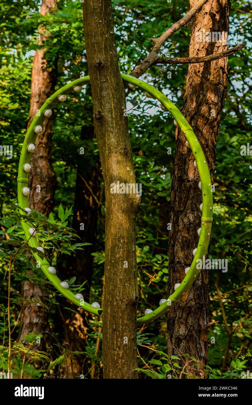 Hang broken hi-res stock photography and images - Alamy