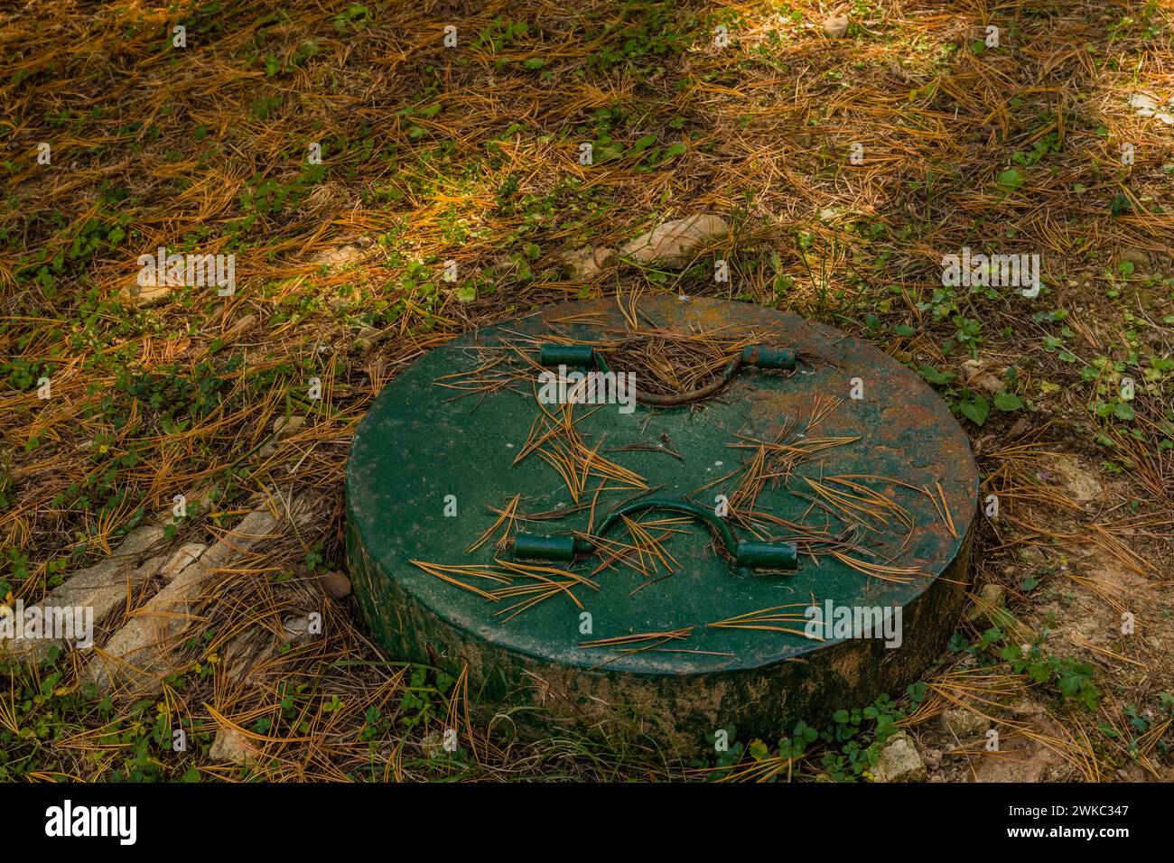 Green manhole cover in shaded clearing in public park in South Korea ...