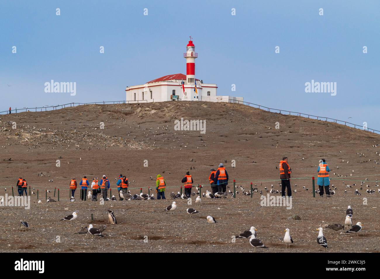Passengers wading hi-res stock photography and images - Alamy