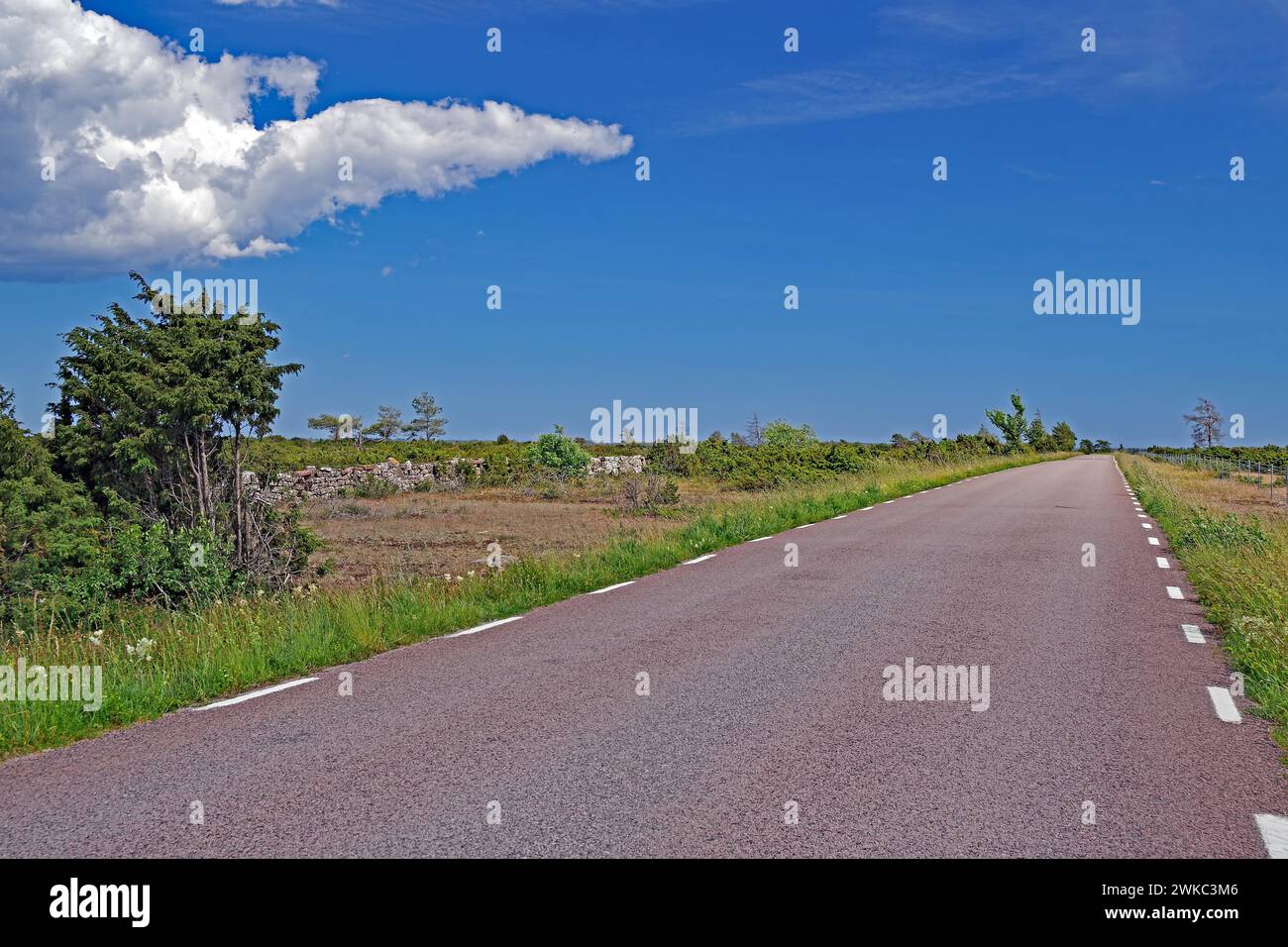 Empty country road with white markings and clear blue sky, stony ...
