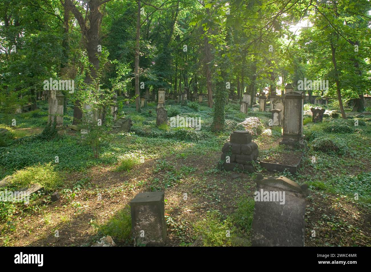 The Elias Cemetery in Dresden is considered to be the city's most ...